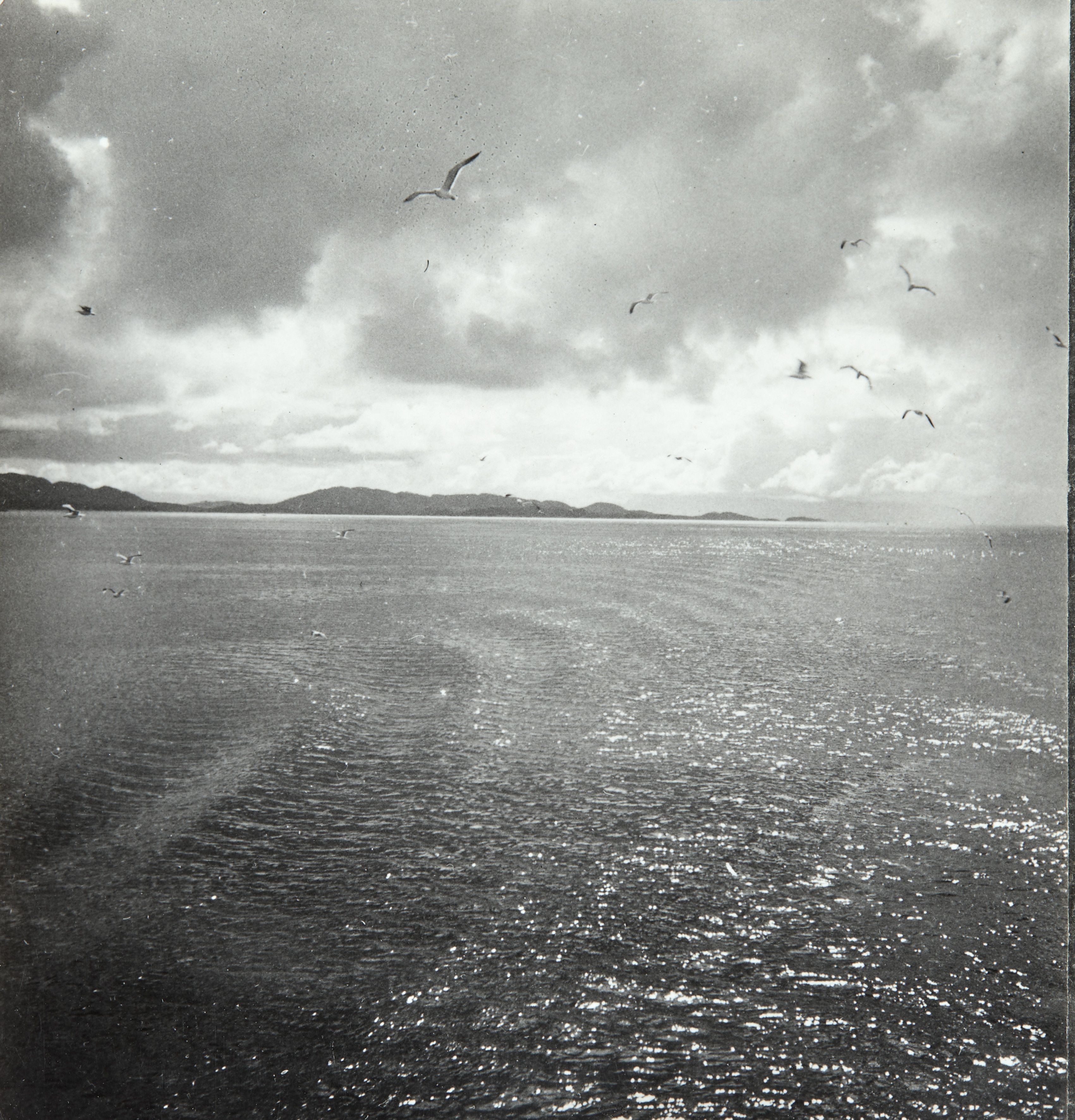 3685 Dora Maar, inédits, fonds photographique | Lot n° 307 | Artcurial