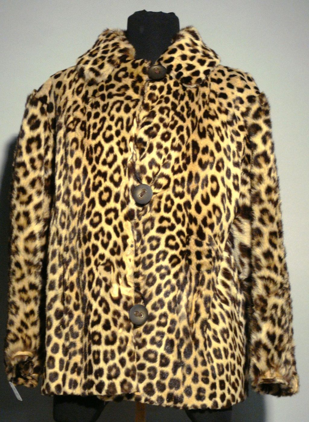 ANONYME VESTE en Panthère, col rabattu sur simple boutonnage, deux ...