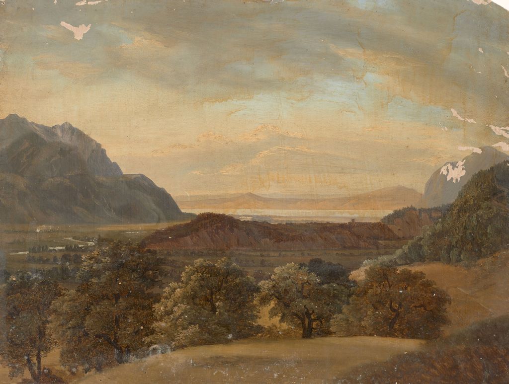 Paysage montagneux aux grands arbres