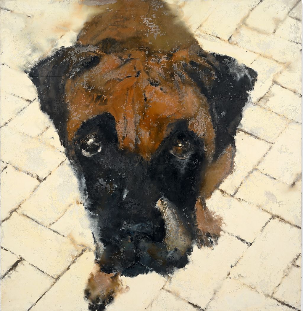 Chien brun (Indy) - 1998
